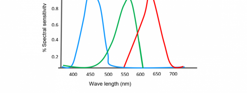 Spectral sensitivity curves of cameras – TKH Vision Italy